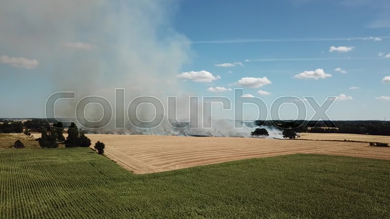 Aerial footage of fire in corn field in ... | Stock video | Colourbox
