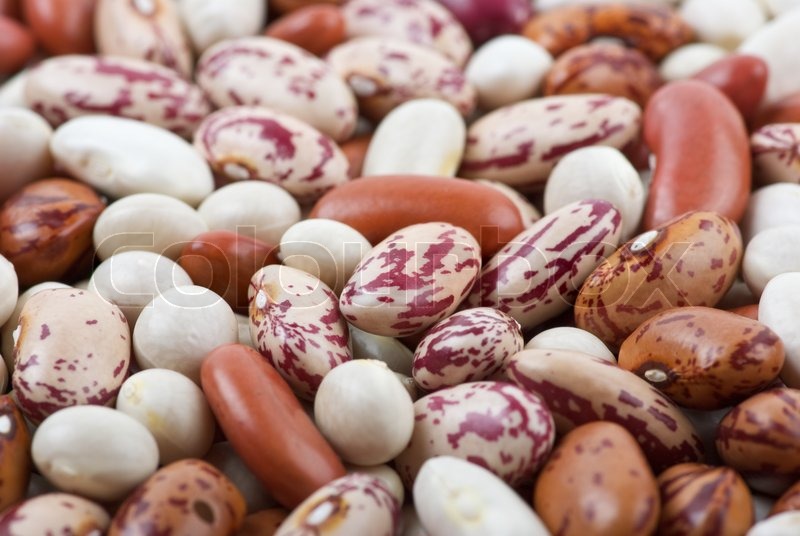 Haricot beans of diferent breeds and ... | Stock image | Colourbox