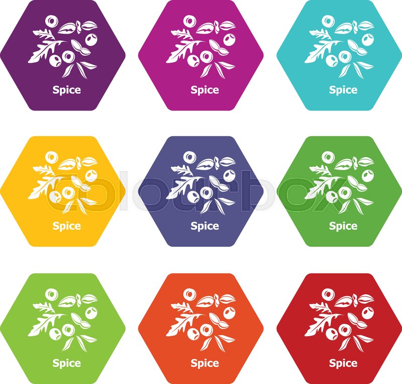 Spice icons 9 set coloful isolated on ... | Stock vector | Colourbox
