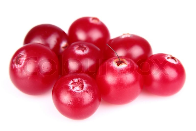 Fresh cranberry | Stock image | Colourbox