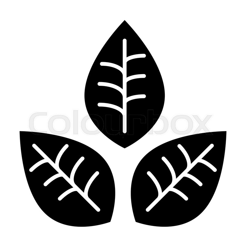 Three leaves solid icon. Nature vector ... | Stock vector | Colourbox