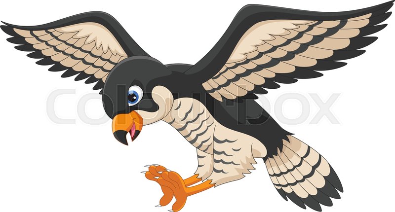 Falcon Flying Vector
