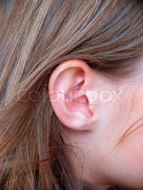 Ear of a caucasian girl, young ... | Stock image | Colourbox
