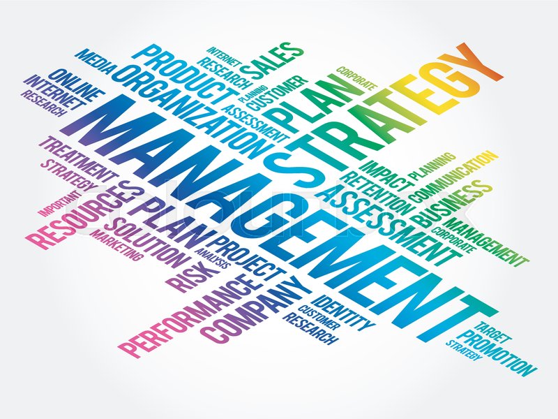MANAGEMENT word cloud collage, ... | Stock vector | Colourbox