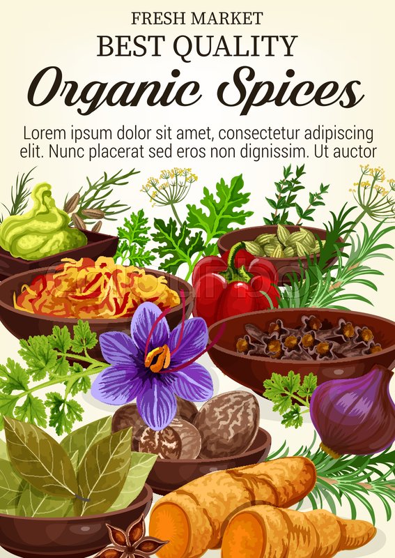 Organic herbs and spices poster for ... | Stock vector | Colourbox