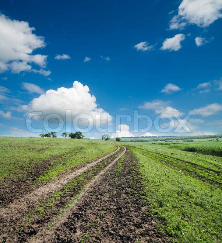 Landstraße im grünen Gras | Stock Bild | Colourbox