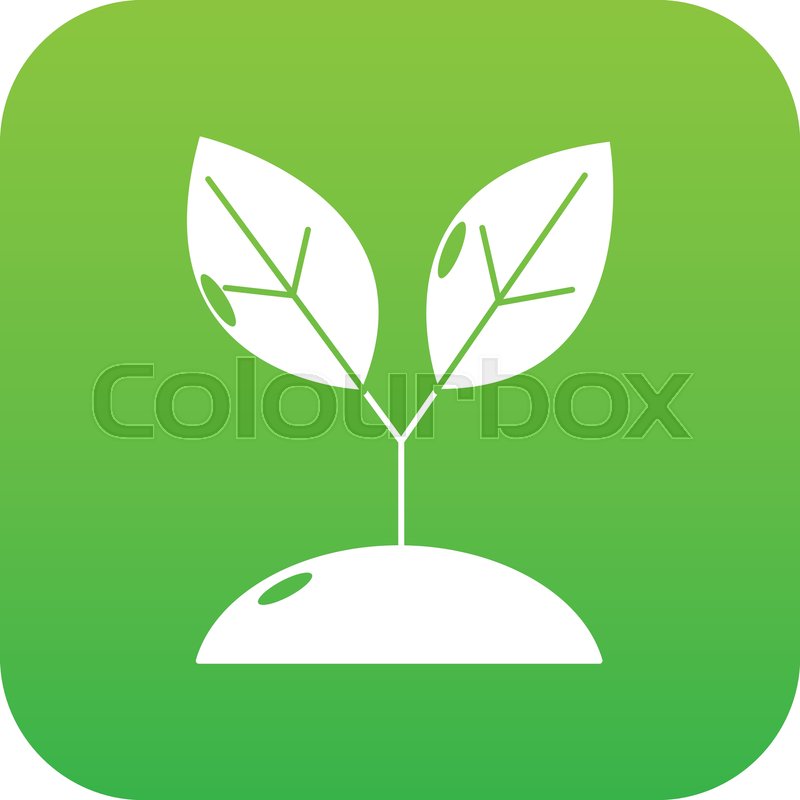 Plant sprout icon green vector ... | Stock vector | Colourbox