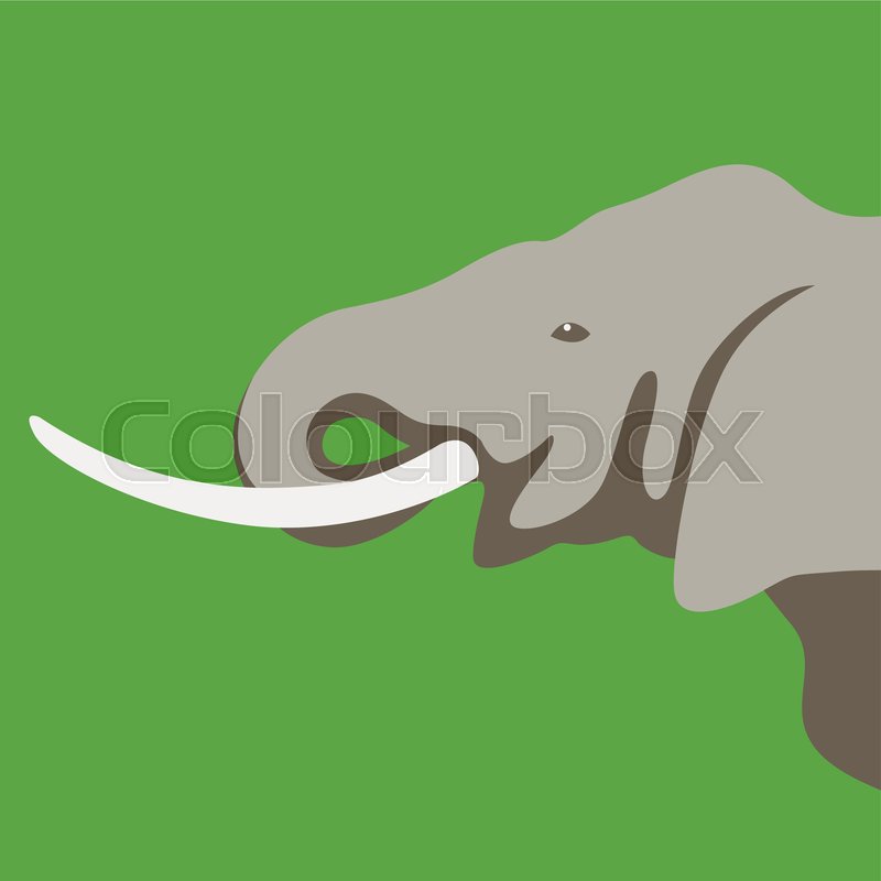 Elephant Head Profile Vector