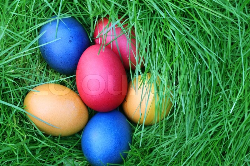 Ostereier versteckt im Gras | Stock Bild | Colourbox