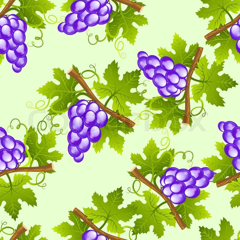 Grape seamless pattern | Stock Vector | Colourbox
