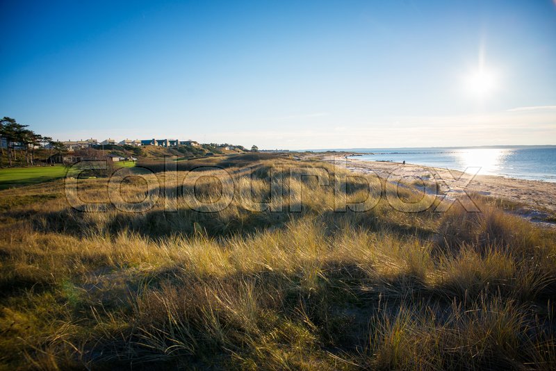 Beautiful beach near the sea in Sweden | Stock image | Colourbox