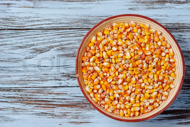 Raw corn grains in a plate on the ... | Stock image | Colourbox