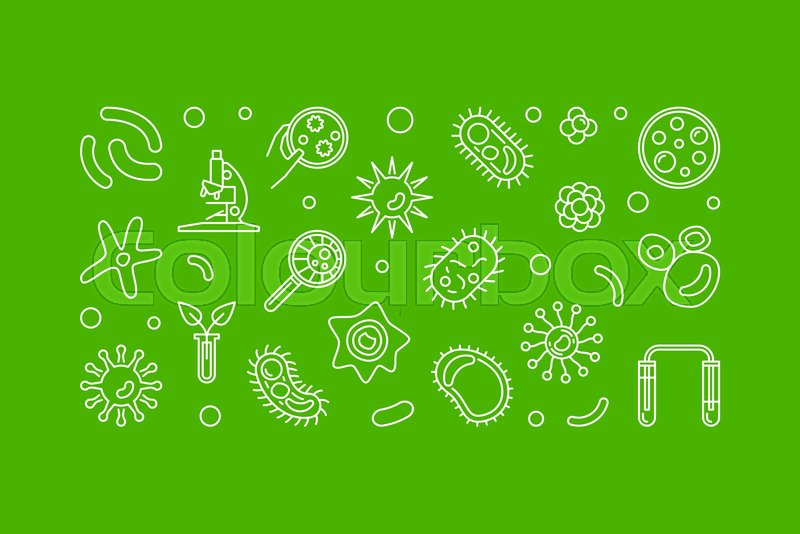 Microbiology vector horizontal ... | Stock vector | Colourbox