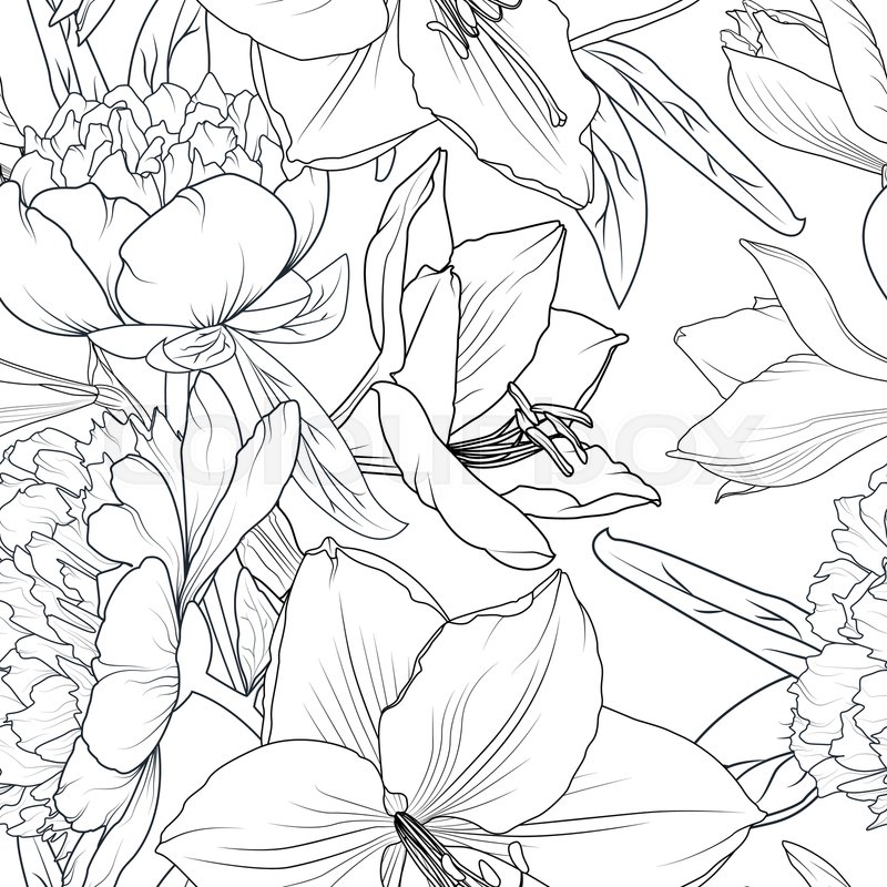 Lily Drawings In Black And White