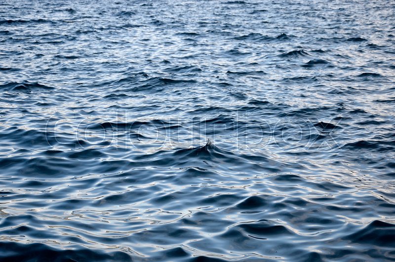 Calm sea with small waves | Stock image | Colourbox
