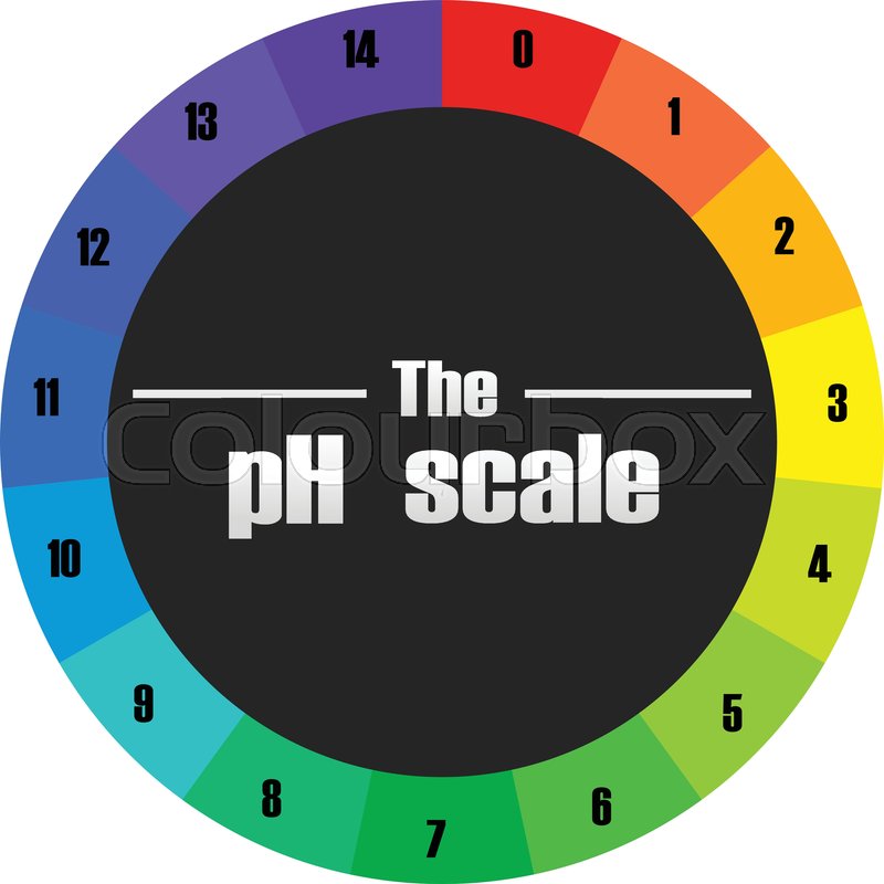 The ph scale circle illustration | Stock vector | Colourbox