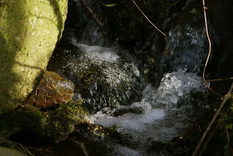 Small water spring in nature | Stock image | Colourbox