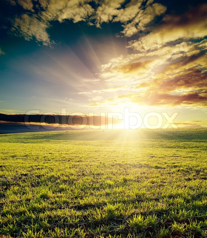 Field on sunset | Stock image | Colourbox