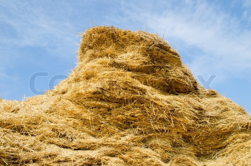 Stack of straw | Stock image | Colourbox