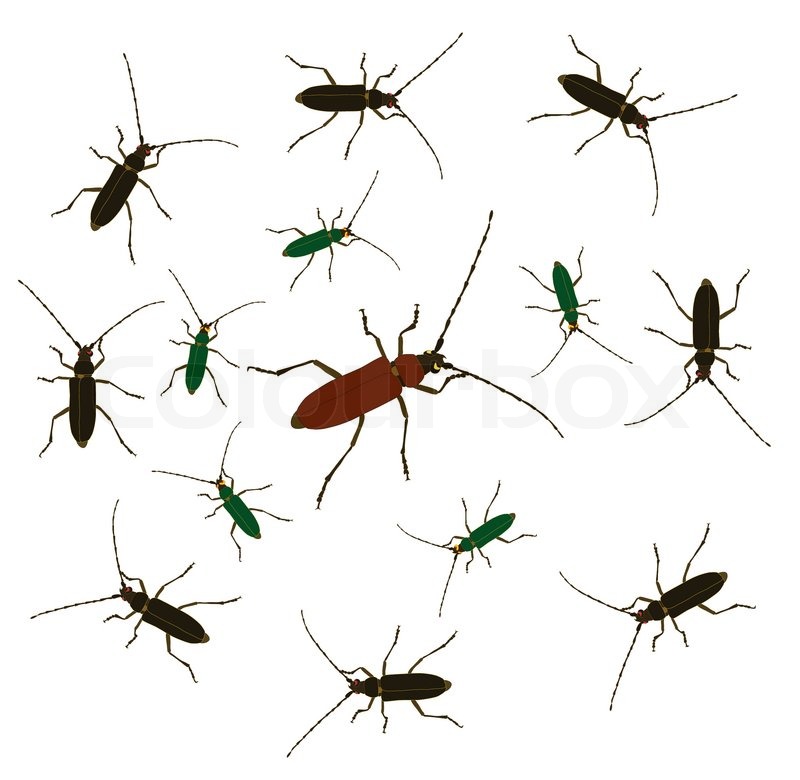 Bugs on a white background vector | Stock vector | Colourbox