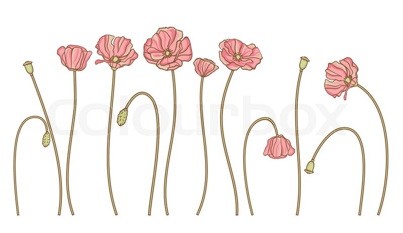 Vector Blomst Isoleret Stock Vektor Colourbox