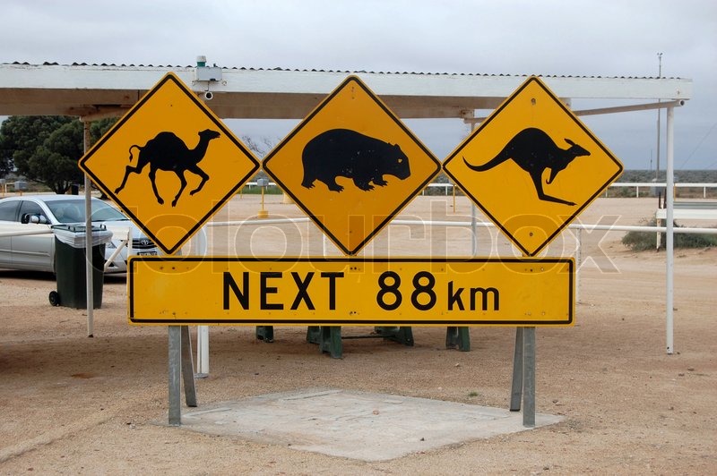 Australian road sign | Stock Photo | Colourbox