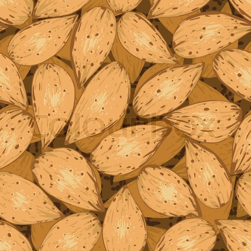 Shelled almonds seamless background | Stock vector | Colourbox