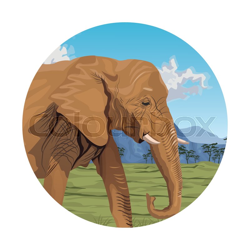 African Landscapes With Elephant