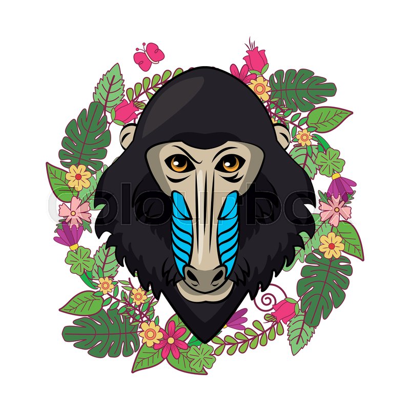 Mandrill face cool sketch on flowers ... | Stock vector | Colourbox
