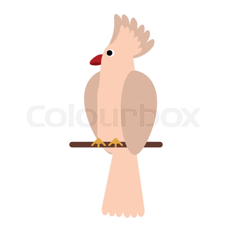 Cockatoo bird tropical icon vector ... | Stock vector | Colourbox