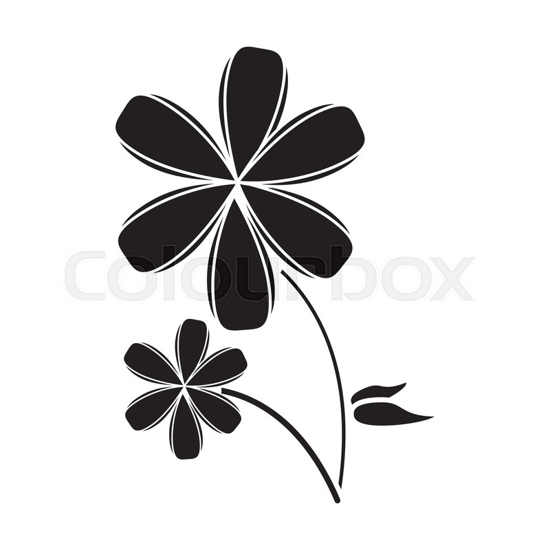 Plumeria flower decoration pictogram ... | Stock vector | Colourbox