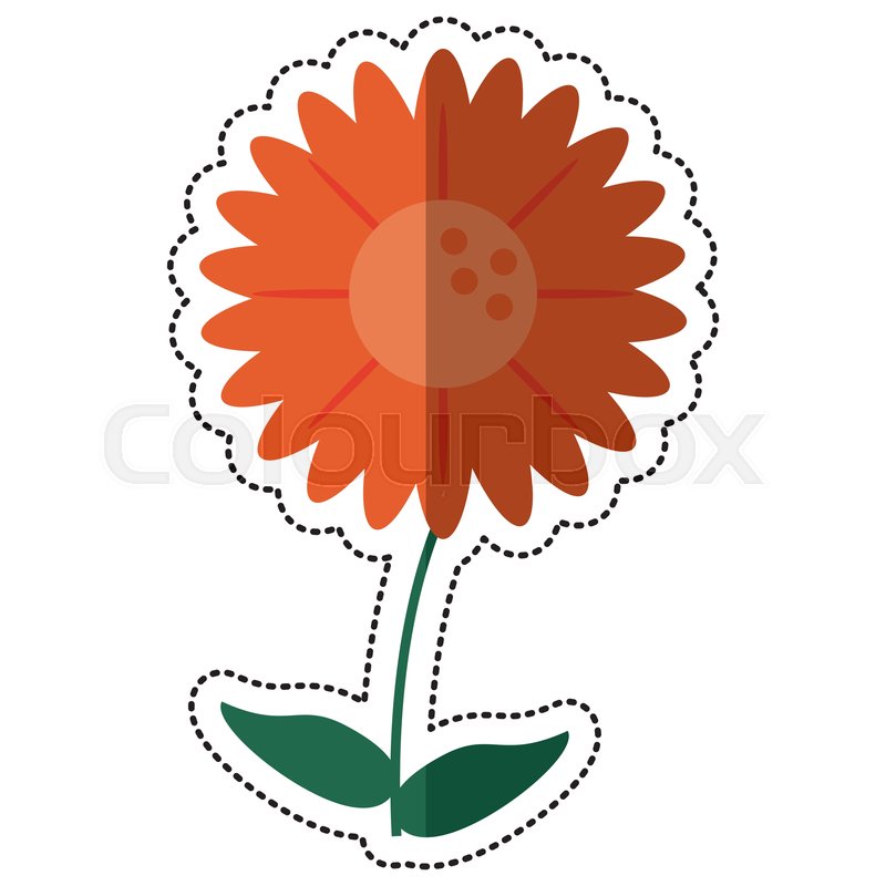 Cartoon gerbera flower natural vector ... | Stock vector | Colourbox