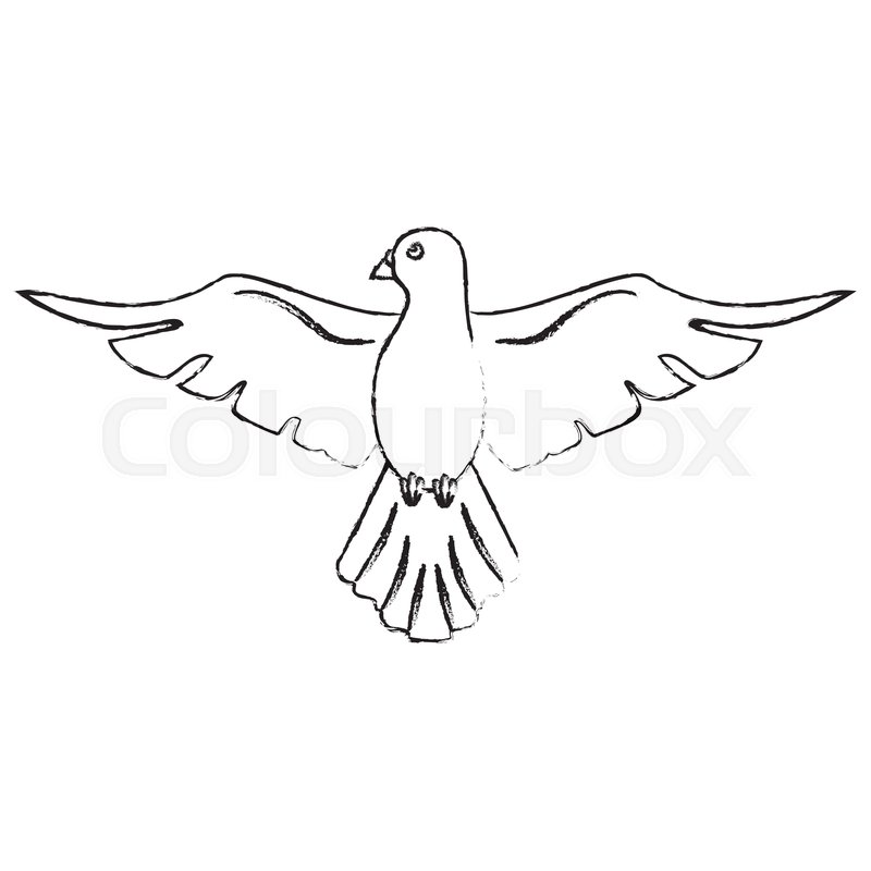 Holy spirit catholicism sacredness ... | Stock vector | Colourbox