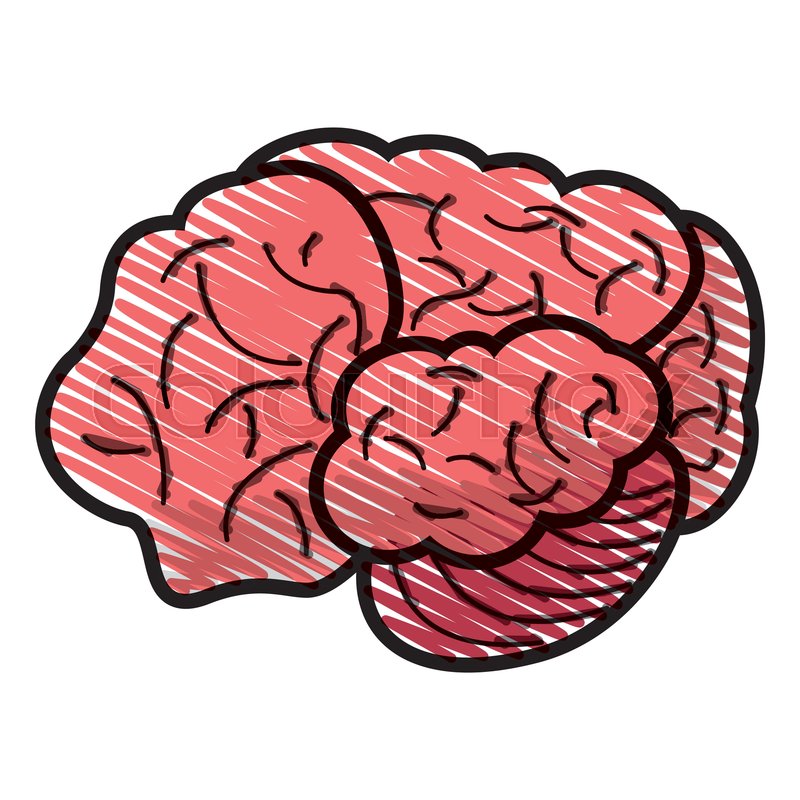 Red Brain Drawing