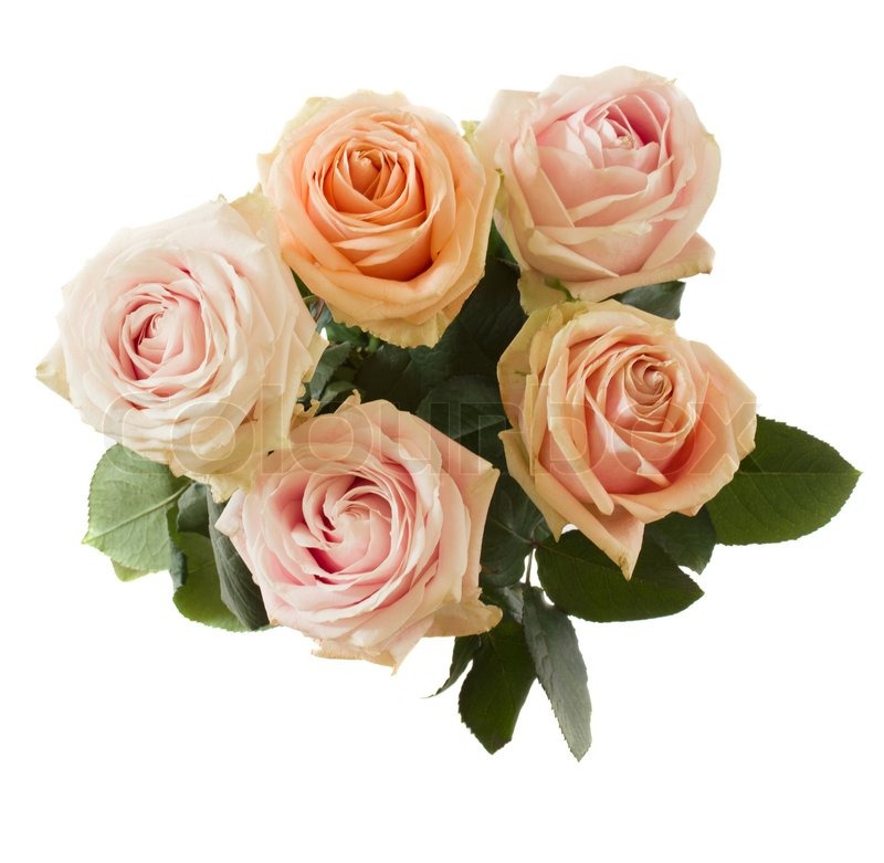 Buket af roser | Stock foto | Colourbox