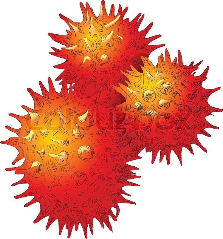 Flower pollen | Stock vektor | Colourbox