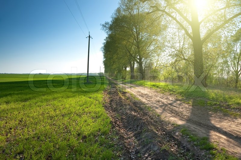 Country road through green fields and ... | Stock image | Colourbox