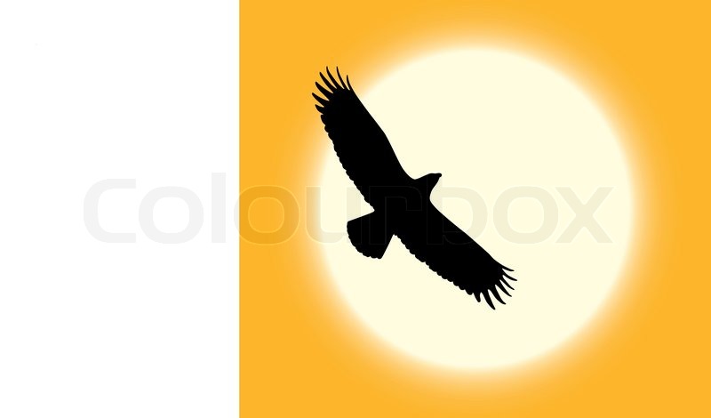 Desert eagle | Stock vector | Colourbox