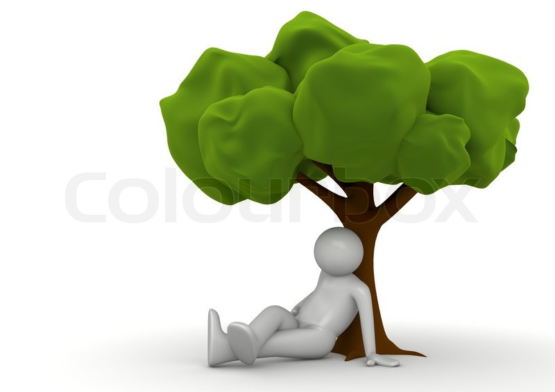 Wunderschne 5 Ffchen Sitzen Auf Dem Baum Bild