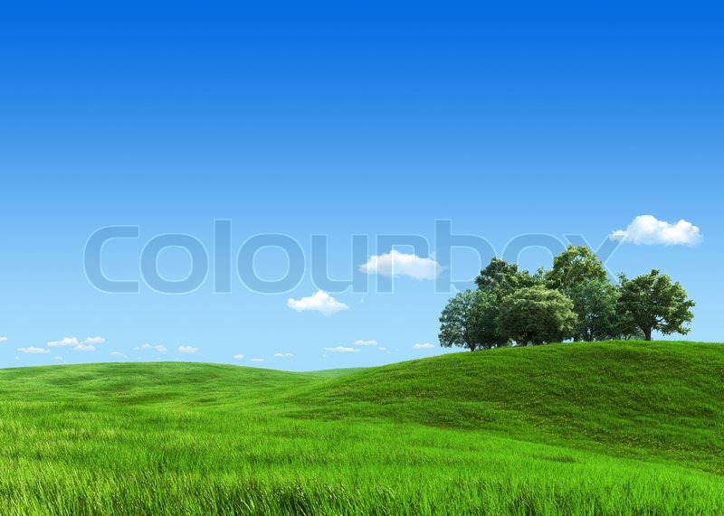 Nature collection - Green meadow group ... | Stock image | Colourbox