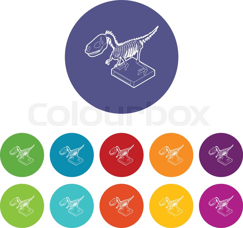 Dinosaur skeleton icons color set ... | Stock vector | Colourbox