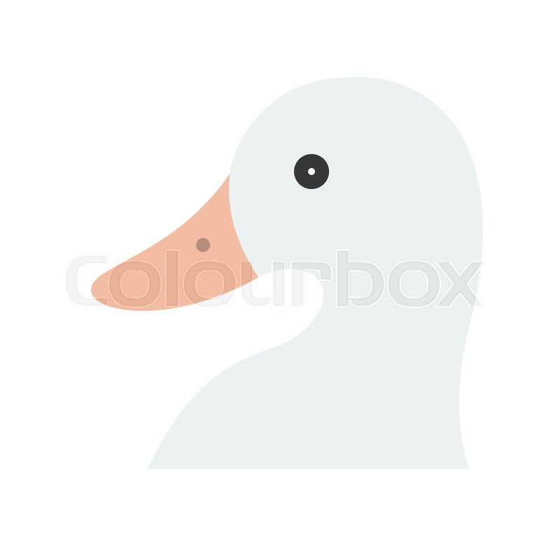 Cartoon Duck Head