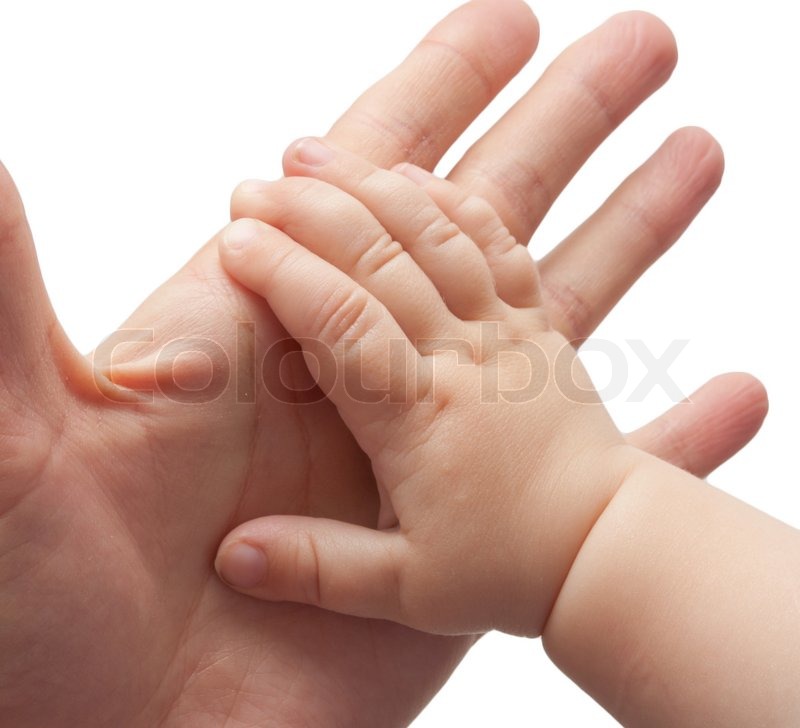 Father's and baby's hands | Stock Photo | Colourbox