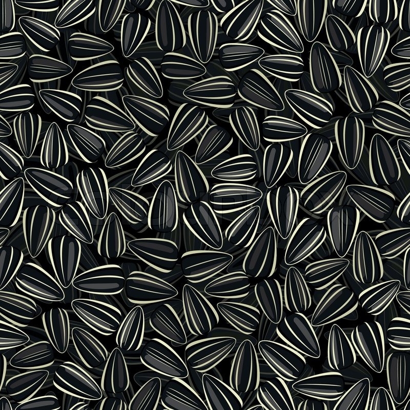 Sunflower seeds seamless background | Stock vector | Colourbox