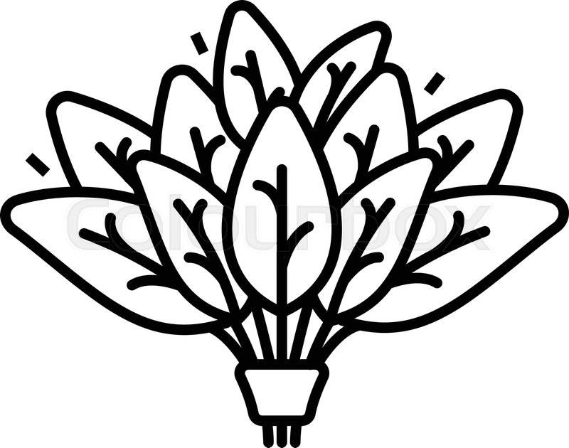 Spinach branch icon. Outline spinach ... | Stock vector | Colourbox Spinach branch icon. Outline spinach ... | Stock vector | Colourbox
