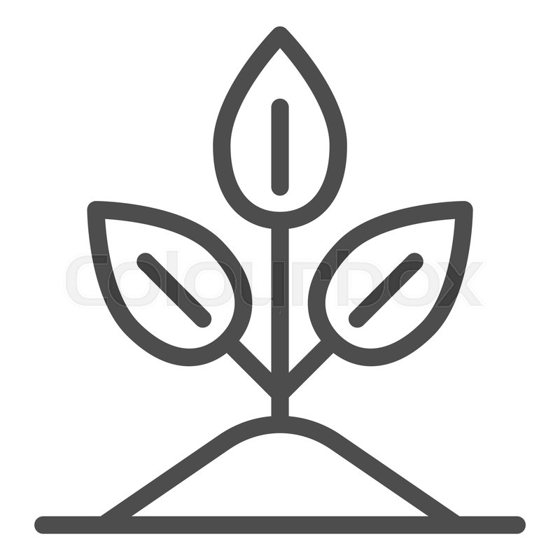 Plant Sprout Vector
