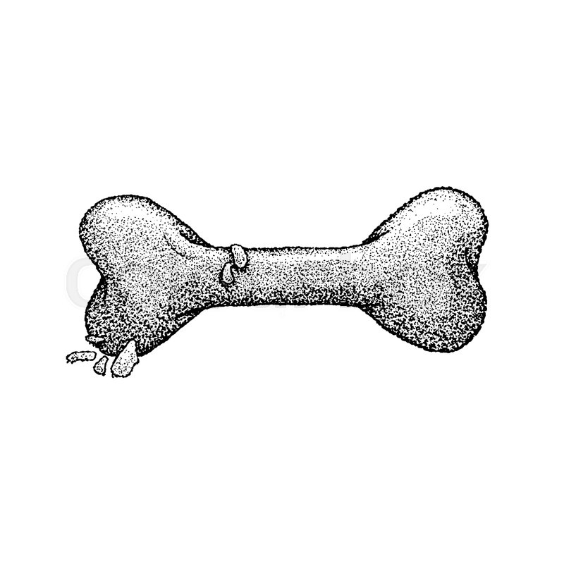 Dog Bone Drawing