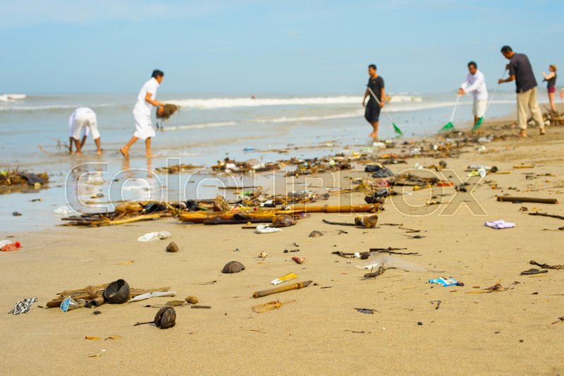 Group of people cleaning up beach from ... | Stock image | Colourbox
