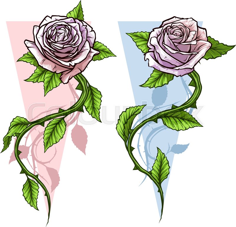 Graphic detailed cartoon pink roses ... | Stock vector | Colourbox
