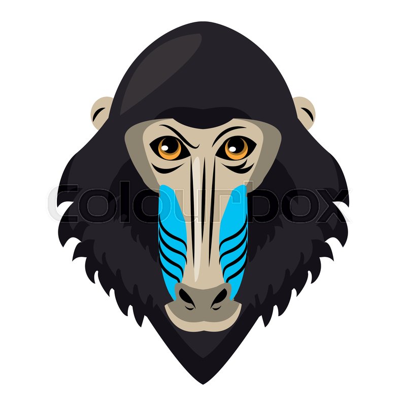 Mandrill face cool sketch vector ... | Stock vector | Colourbox